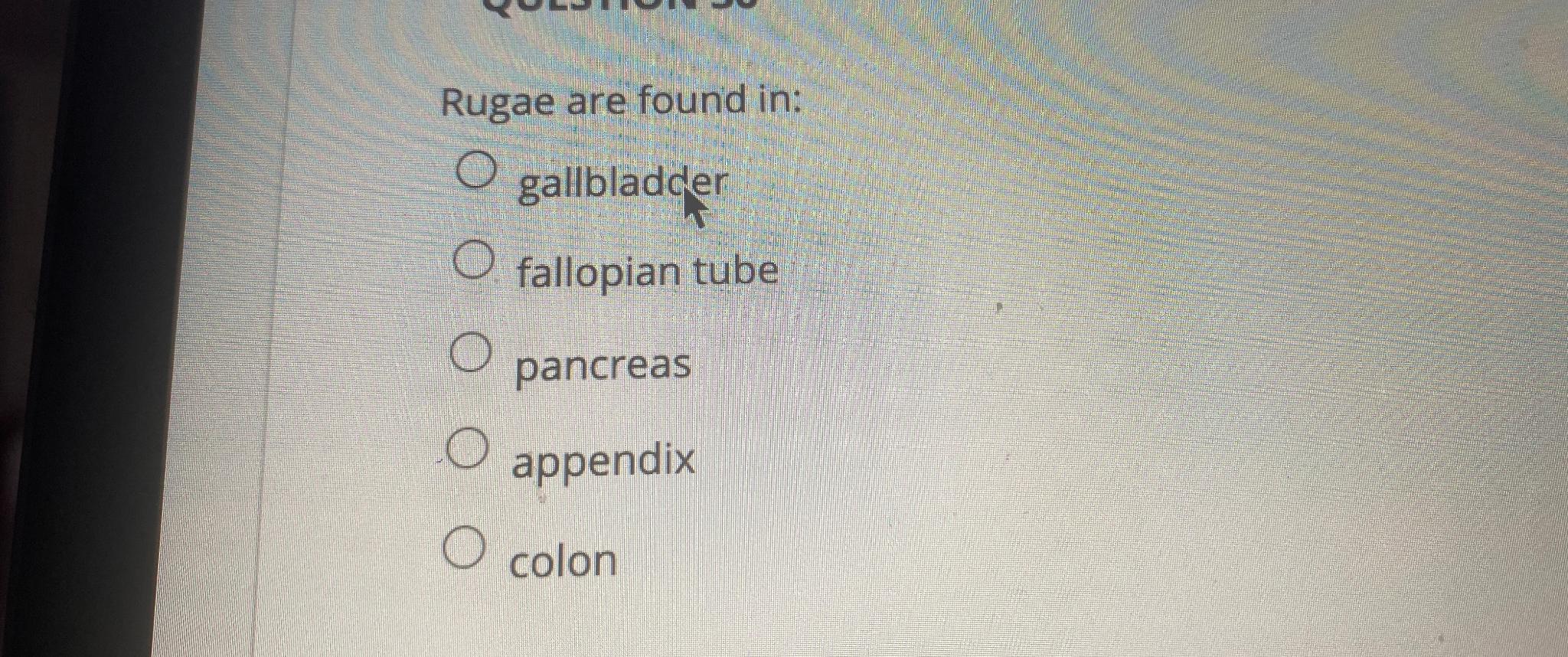 Solved Rugae are found in:gallbladderfallopian | Chegg.com
