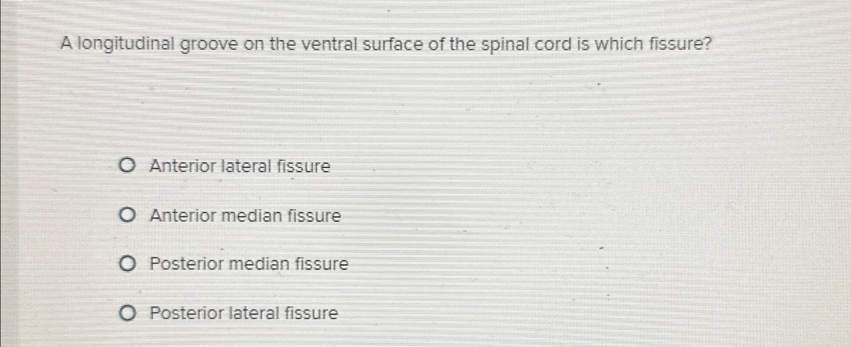 Solved A longitudinal groove on the ventral surface of the | Chegg.com