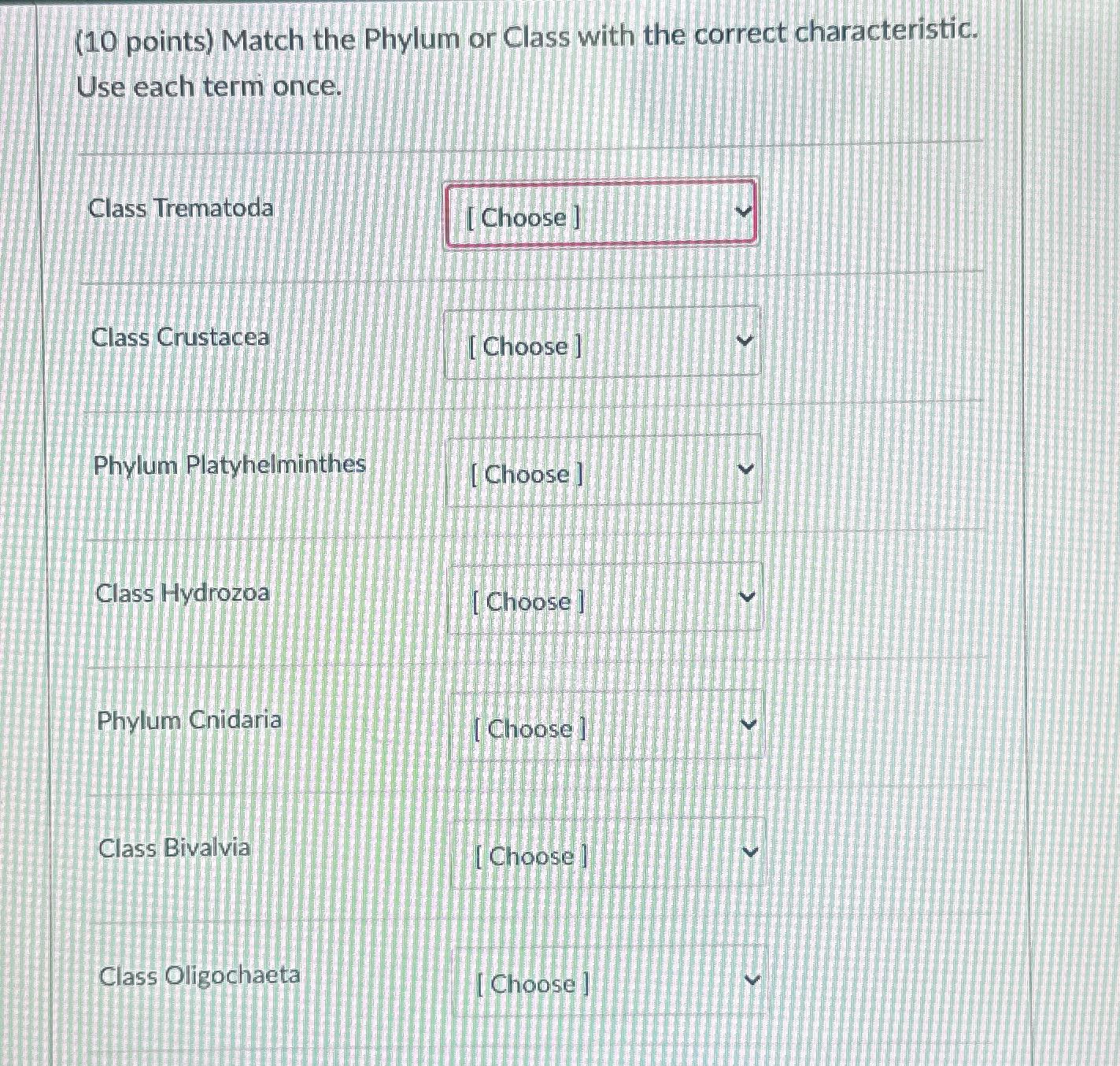 Solved (10 ﻿points) ﻿Match the Phylum or Class with the | Chegg.com