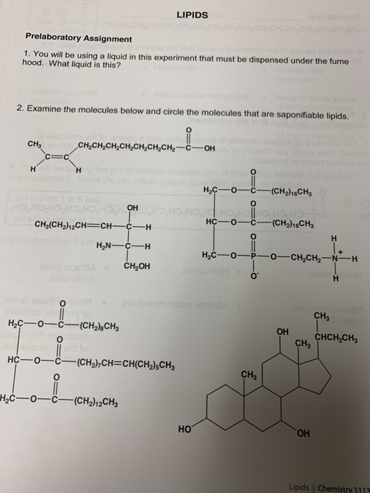 Solved LIPIDS Prelaboratory Assignment 1. You will be using | Chegg.com