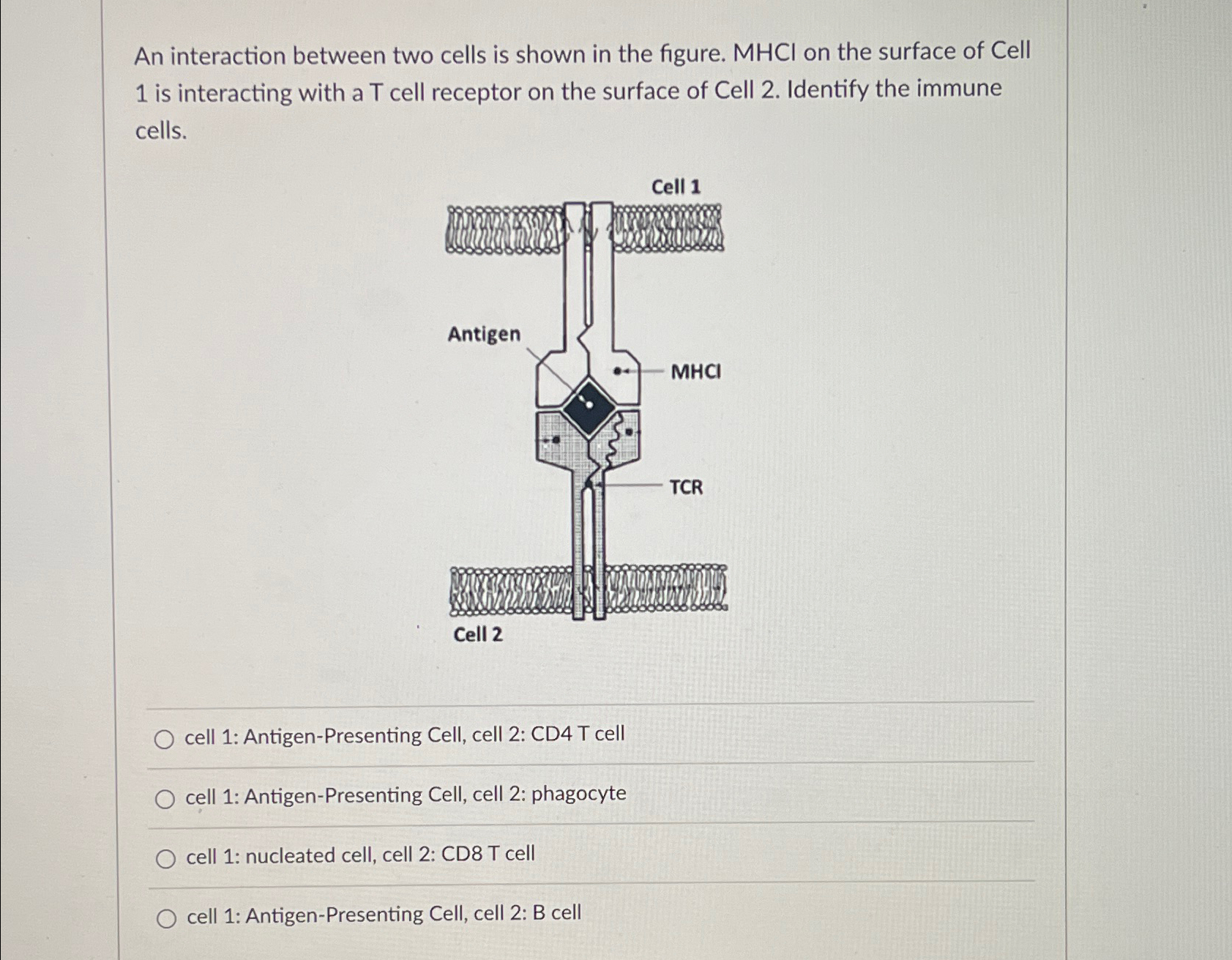 An interaction between two cells is shown in the | Chegg.com