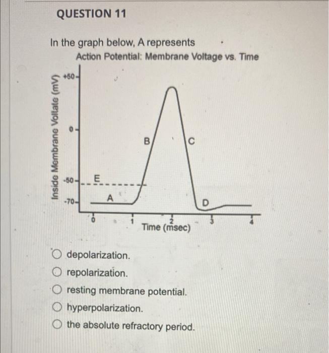 Solved QUESTION 11 In the graph below, A represents Action | Chegg.com