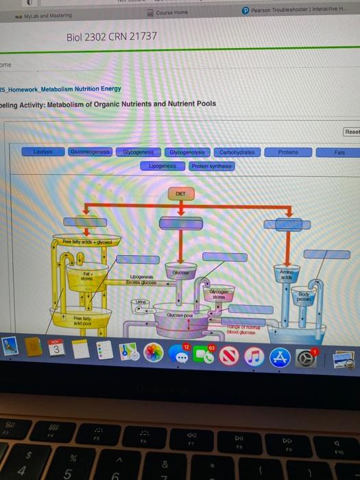 Solved art of labeling activity: metabolism of organic | Chegg.com