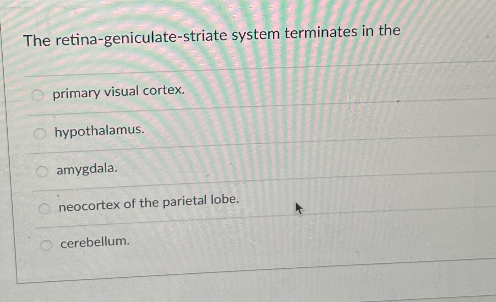 Solved The retina-geniculate-striate system terminates in | Chegg.com