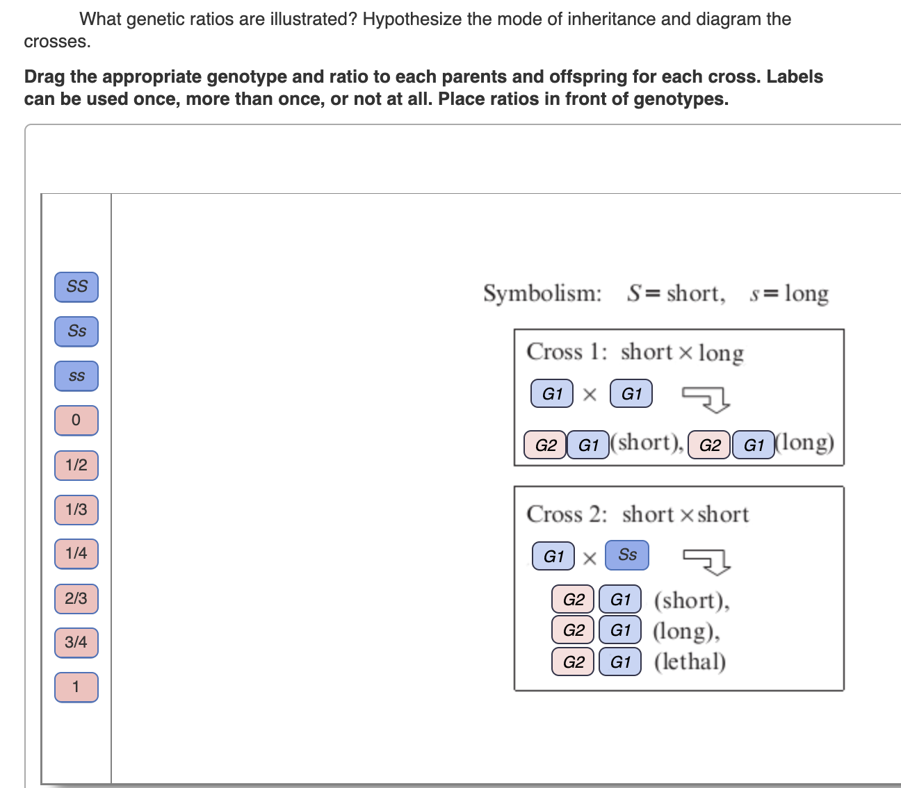 Solved In mice, a short-tailed mutant was discovered. When | Chegg.com