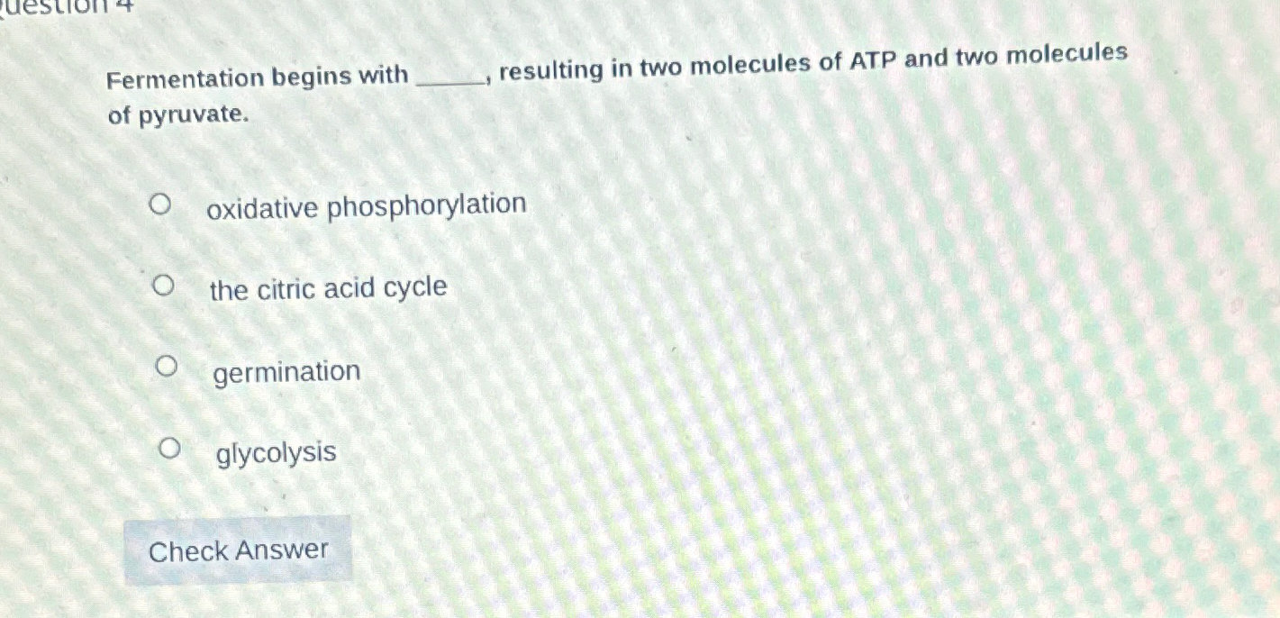 Solved Fermentation begins with q, ﻿resulting in two | Chegg.com
