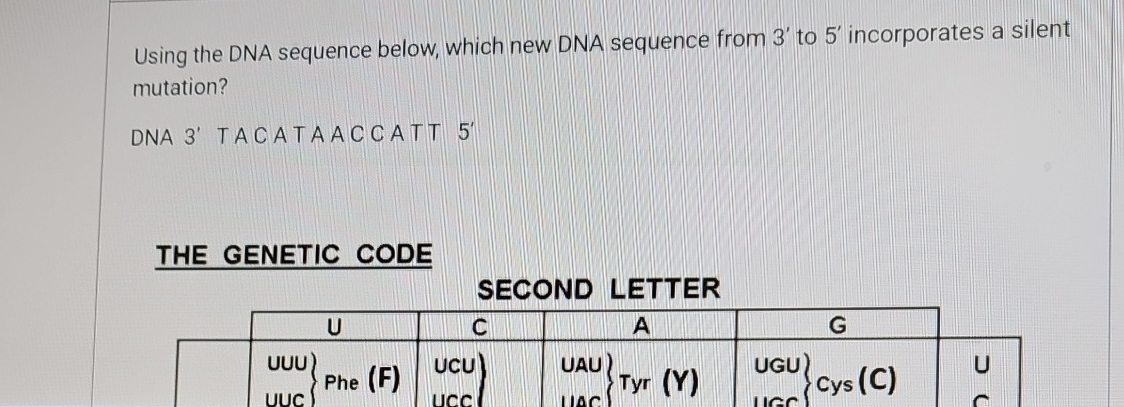 Solved Using the DNA sequence below, which new DNA sequence | Chegg.com
