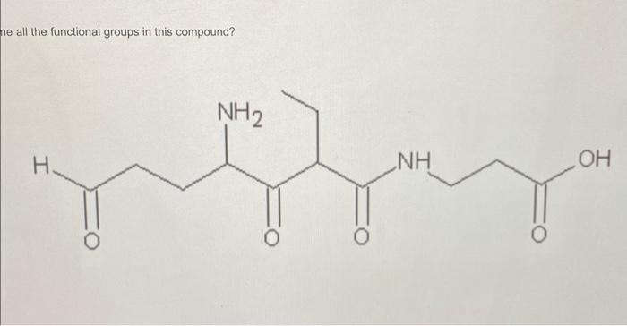 Solved ne all the functional groups in this compound? NH2 H | Chegg.com