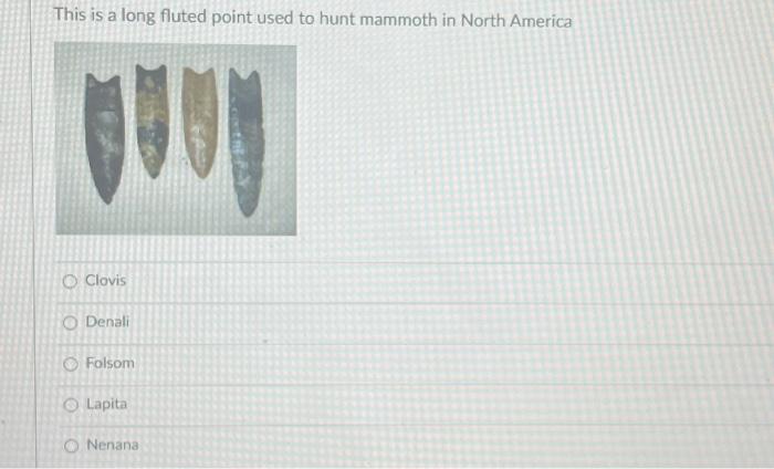 Solved This is a long fluted point used to hunt mammoth in | Chegg.com