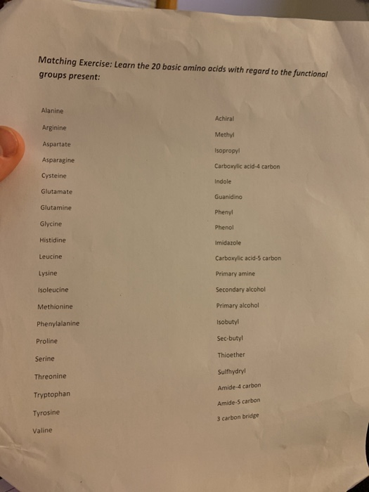 Solved Matching Exercise: Learn the 20 basic amino acids | Chegg.com