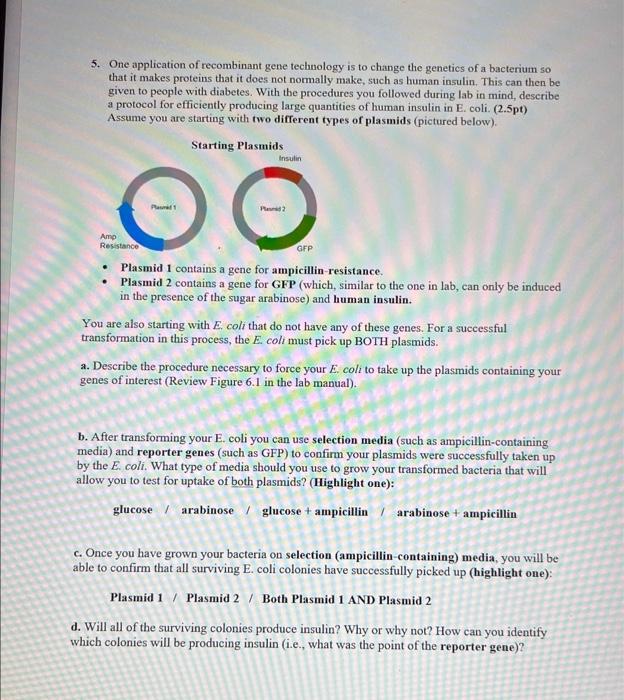Solved 5. One application of recombinant gene technology is | Chegg.com