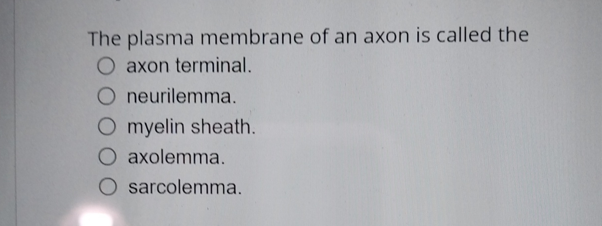 Solved The plasma membrane of an axon is called the: axon | Chegg.com