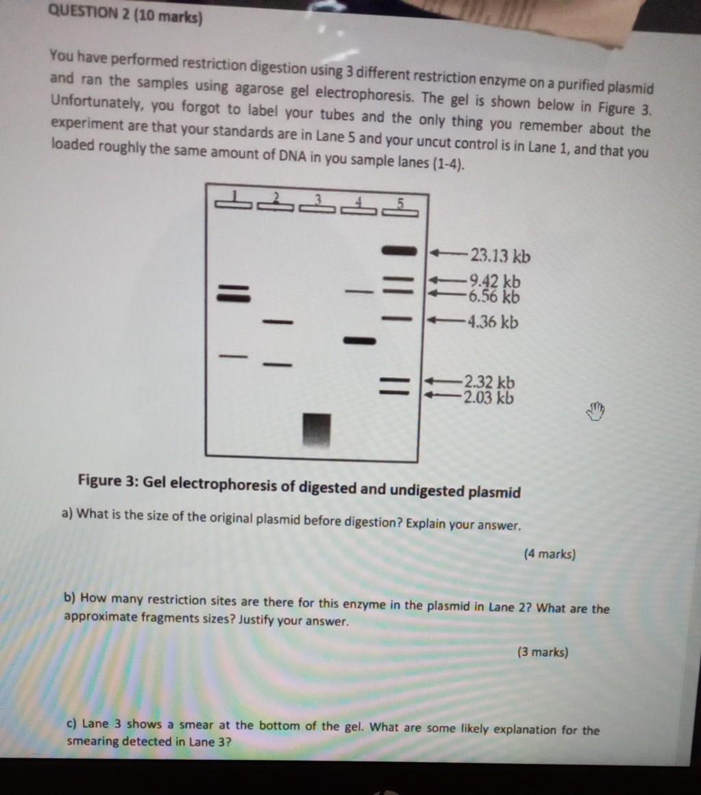 Solved QUESTION 2 (10 marks) You have performed restriction | Chegg.com