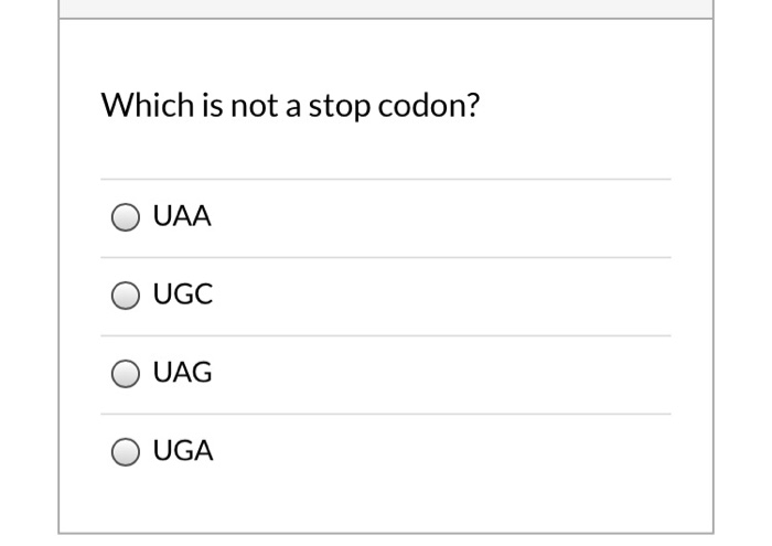 Solved Which is not a stop codon? O UAA O UGC O UAG O UGA | Chegg.com