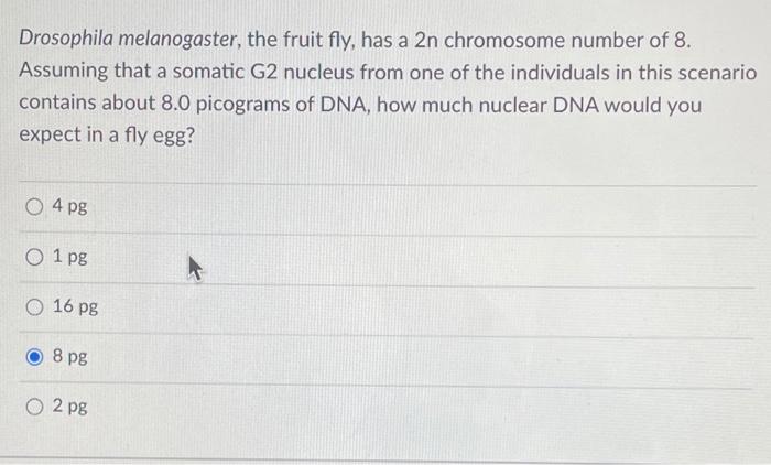 Solved Drosophila melanogaster, the fruit fly, has a 2n | Chegg.com