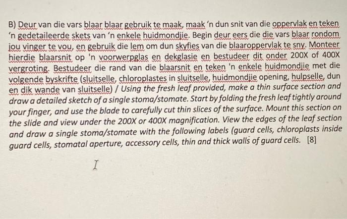 B) Deur van die vars blaar blaar gebruik te maak, | Chegg.com