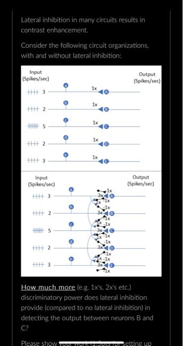 Solved Lateral inhibition in many circuits results in | Chegg.com