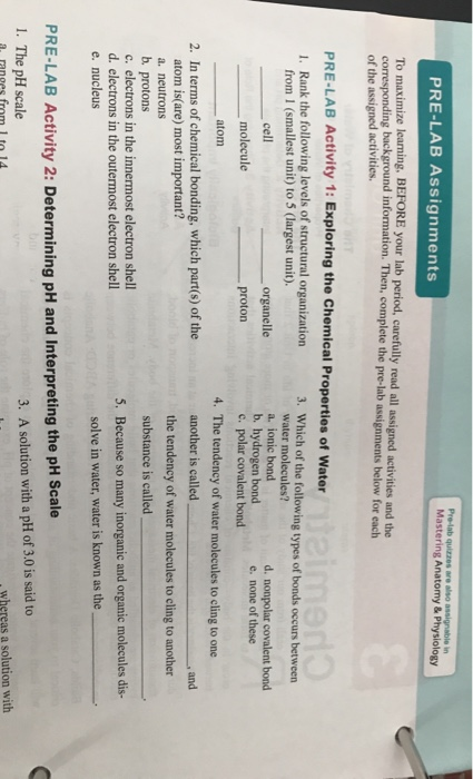 Solved Pro-lab quizes we are in Mastering Anatomy & | Chegg.com