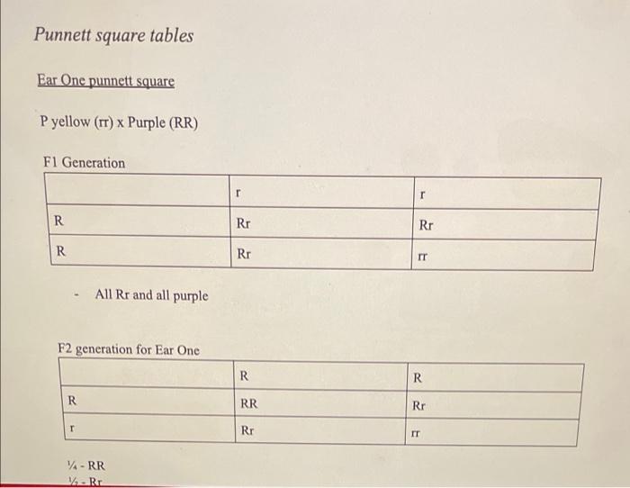 Solved Punnett square tables Ear One punnett square P yellow | Chegg.com