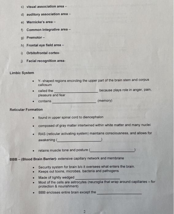 Solved c) visual association area - d) auditory association | Chegg.com