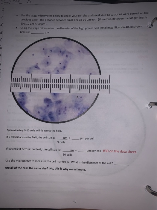 Solved Field Size and Depth Worksheet NO PHOTOS REQUIRED OF | Chegg.com