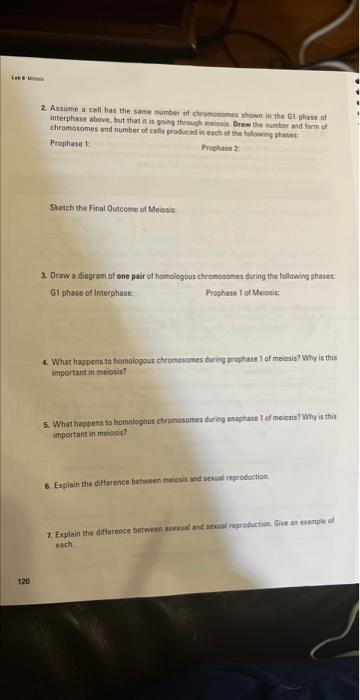 2. Assume a cell has the same mumter of chrosestomes | Chegg.com