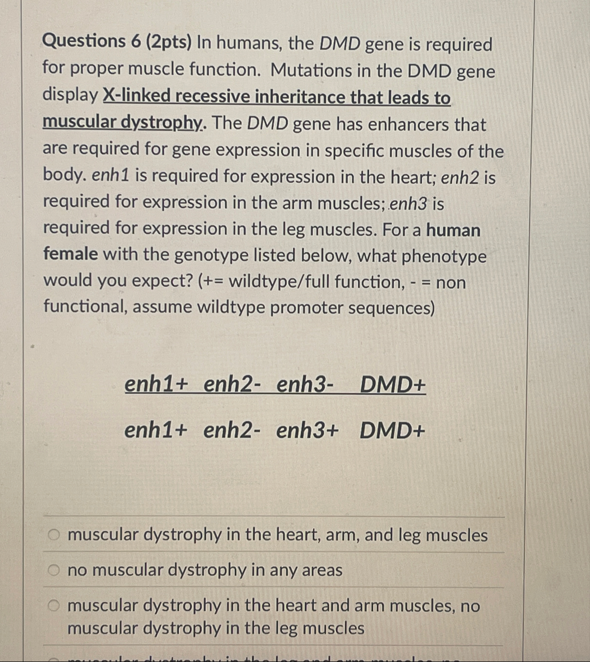 Solved Questions 6 (2pts) ﻿In humans, the DMD gene is | Chegg.com