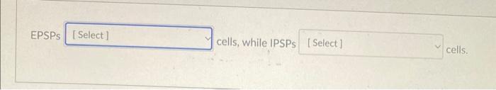 Solved EPSPs cells, while IPSPs cells. | Chegg.com Solved EPSPs cells, while IPSPs cells. | Chegg.com