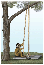 Solved A monkey is sitting on a wood plate attached to a | Chegg.com