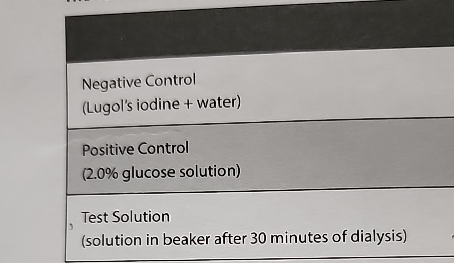 Solved Negative Control(Lugol's iodine + ﻿water)Positive | Chegg.com