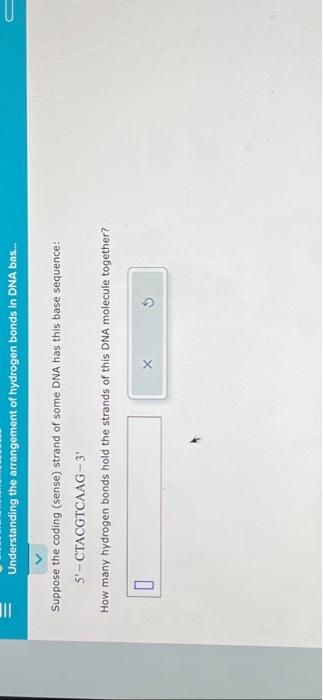 Solved Suppose the coding (sense) strand of some DNA has | Chegg.com