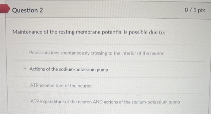 Solved Maintenance of the resting membrane potential is | Chegg.com