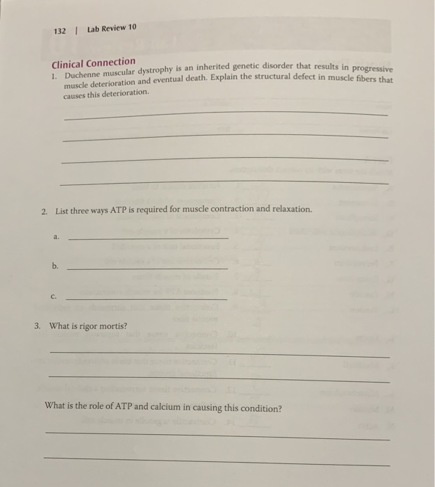 Solved 132 | Lab Review 10 Clinical Connection 1. Duchenne | Chegg.com