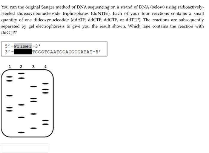 Solved You run the original Sanger method of DNA sequencing | Chegg.com