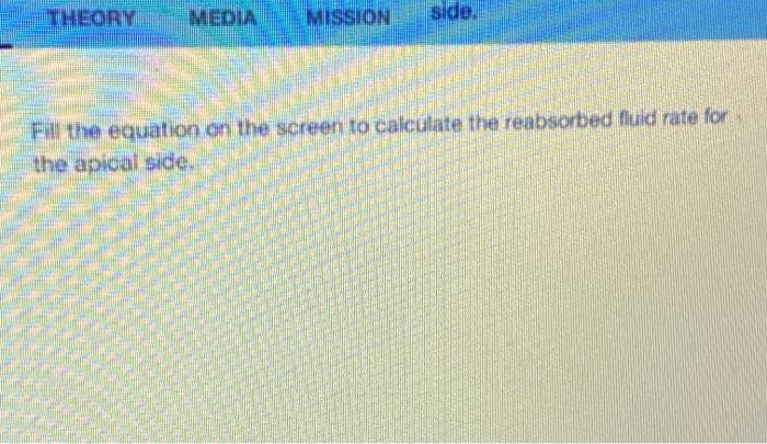 Solved REABSORBED FLUID RATE Then Vin Voux Cout / Cin and | Chegg.com