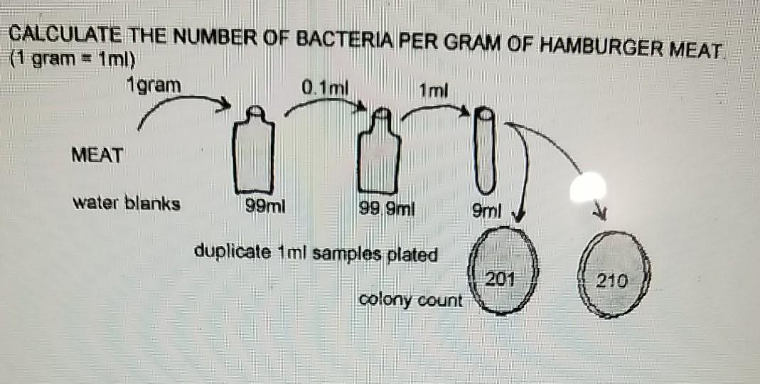 Solved SAMPLE PROBLEMS: CALCULATE THE NUMBER OF BACTERIA PER | Chegg.com