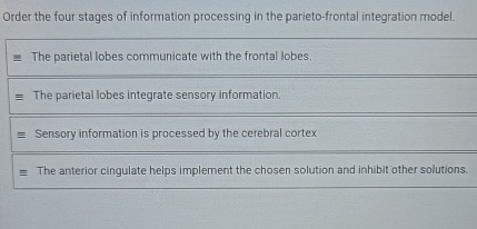 Solved Order the four stages of information processing in | Chegg.com