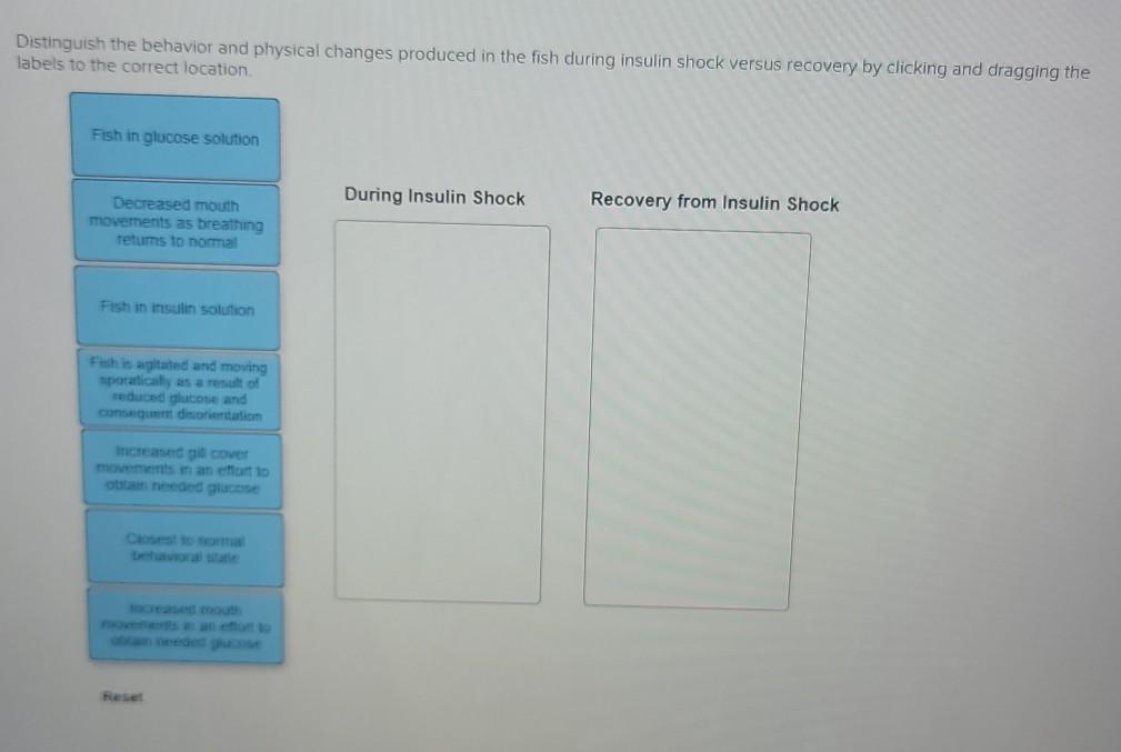 Solved Distinguish the behavior and physical changes | Chegg.com