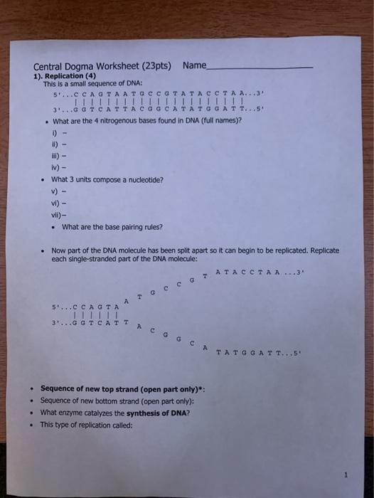 Solved Central Dogma Worksheet (23pts) Name 1). Replication | Chegg.com