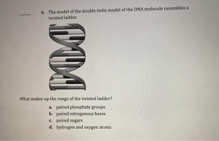 Solved 6. The model of the double-helix model of the DNA | Chegg.com