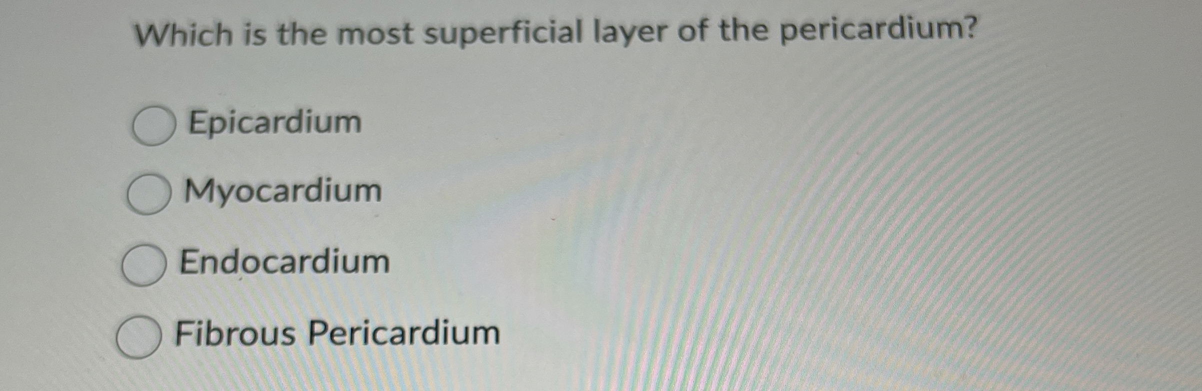 Solved Which is the most superficial layer of the | Chegg.com