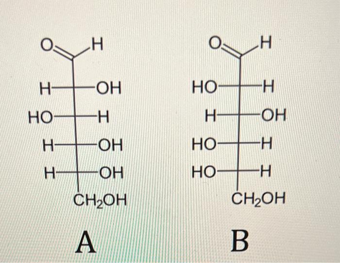 Solved 1) If the aldose structures in A were modified to | Chegg.com