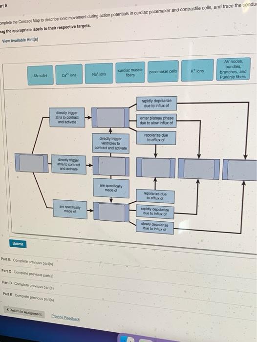 Solved art A omplete the Concept Map to describe tonic | Chegg.com