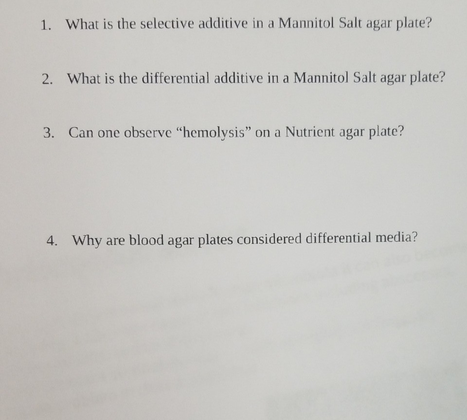 Solved 1. What is the selective additive in a Mannitol Salt | Chegg.com