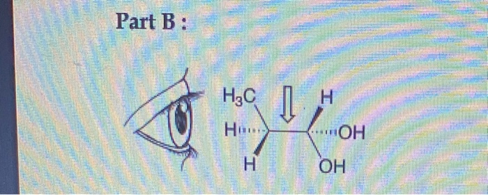 Solved Part B: Newman projections. 1. Construct a model of | Chegg.com