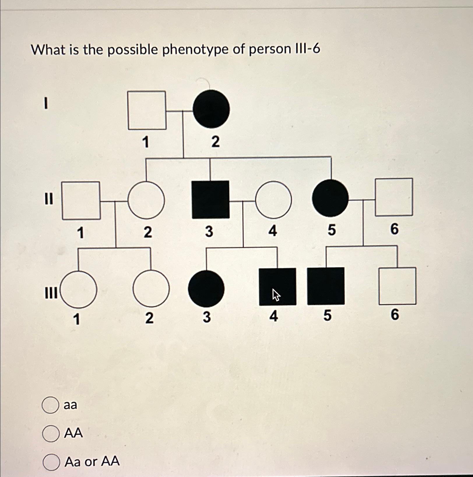 Solved What is the possible phenotype of person III-6aaAAAa | Chegg.com