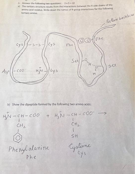 Solved 1. Answer the following two questions: 2×5=10 a) The | Chegg.com