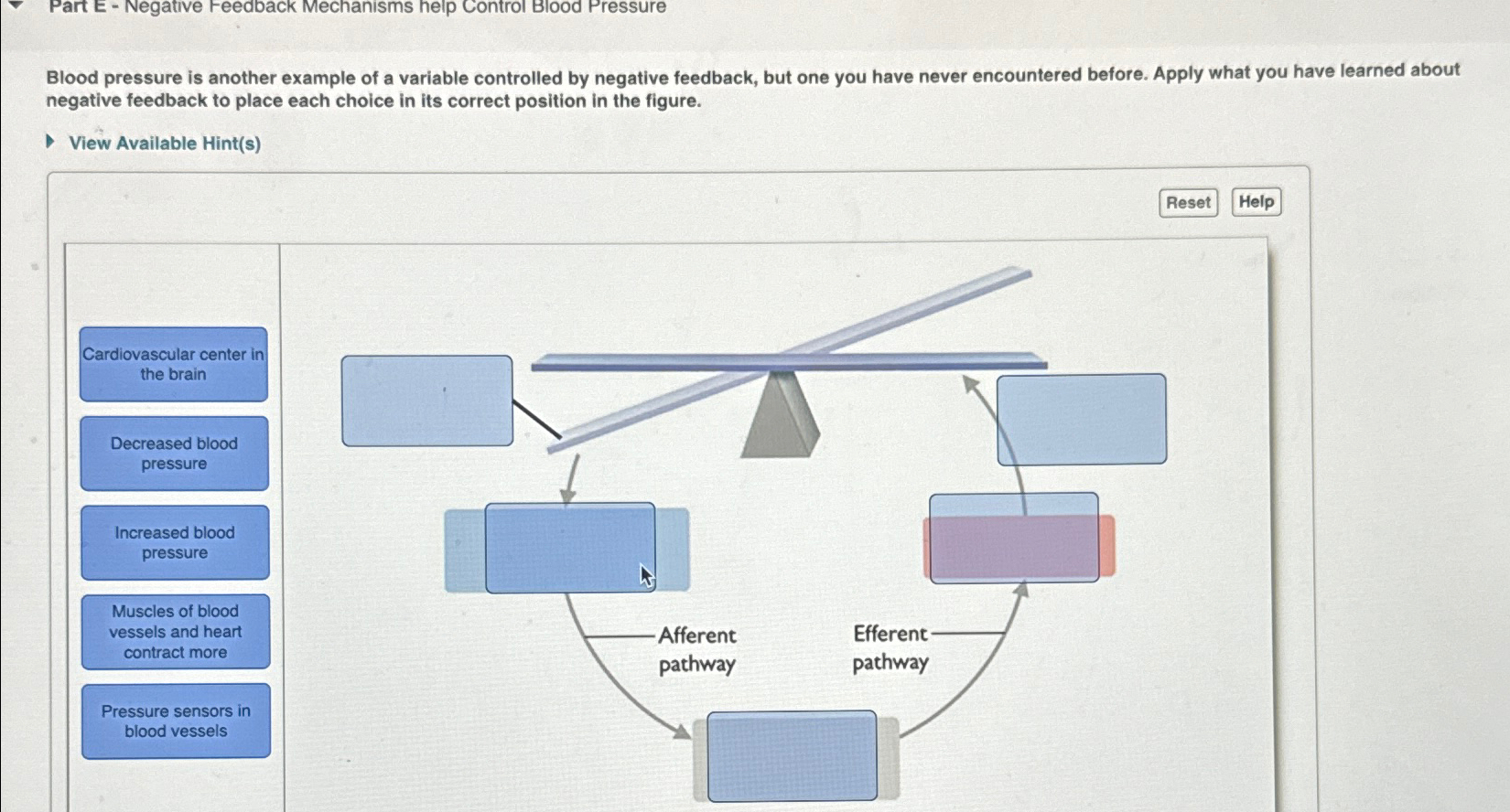 Solved Part E - ﻿Negative Feedback Mechanisms help Control | Chegg.com