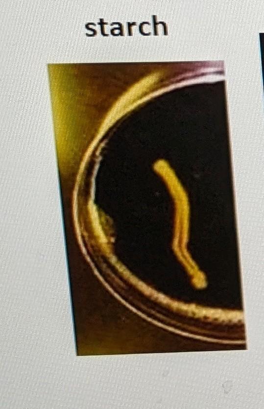 Solved starch | Chegg.com