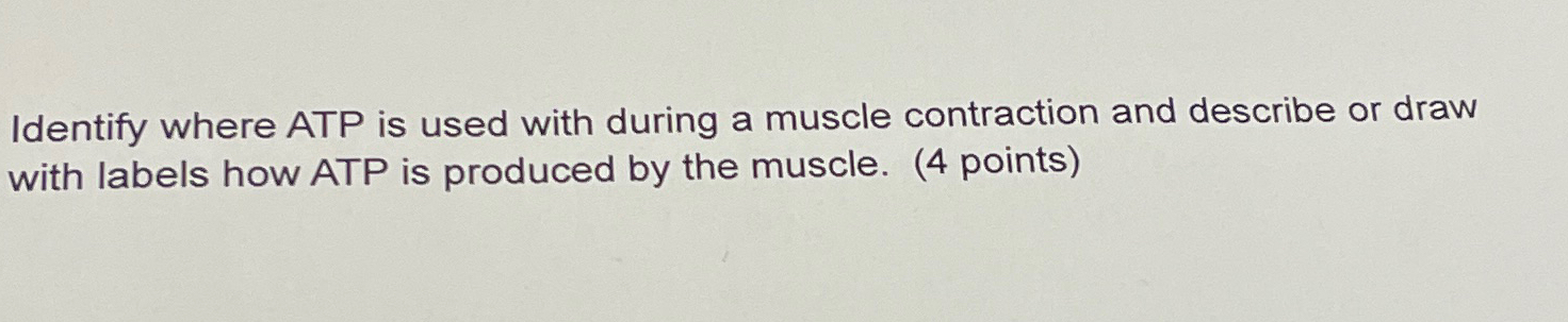 Solved Identify where ATP is used with during a muscle | Chegg.com